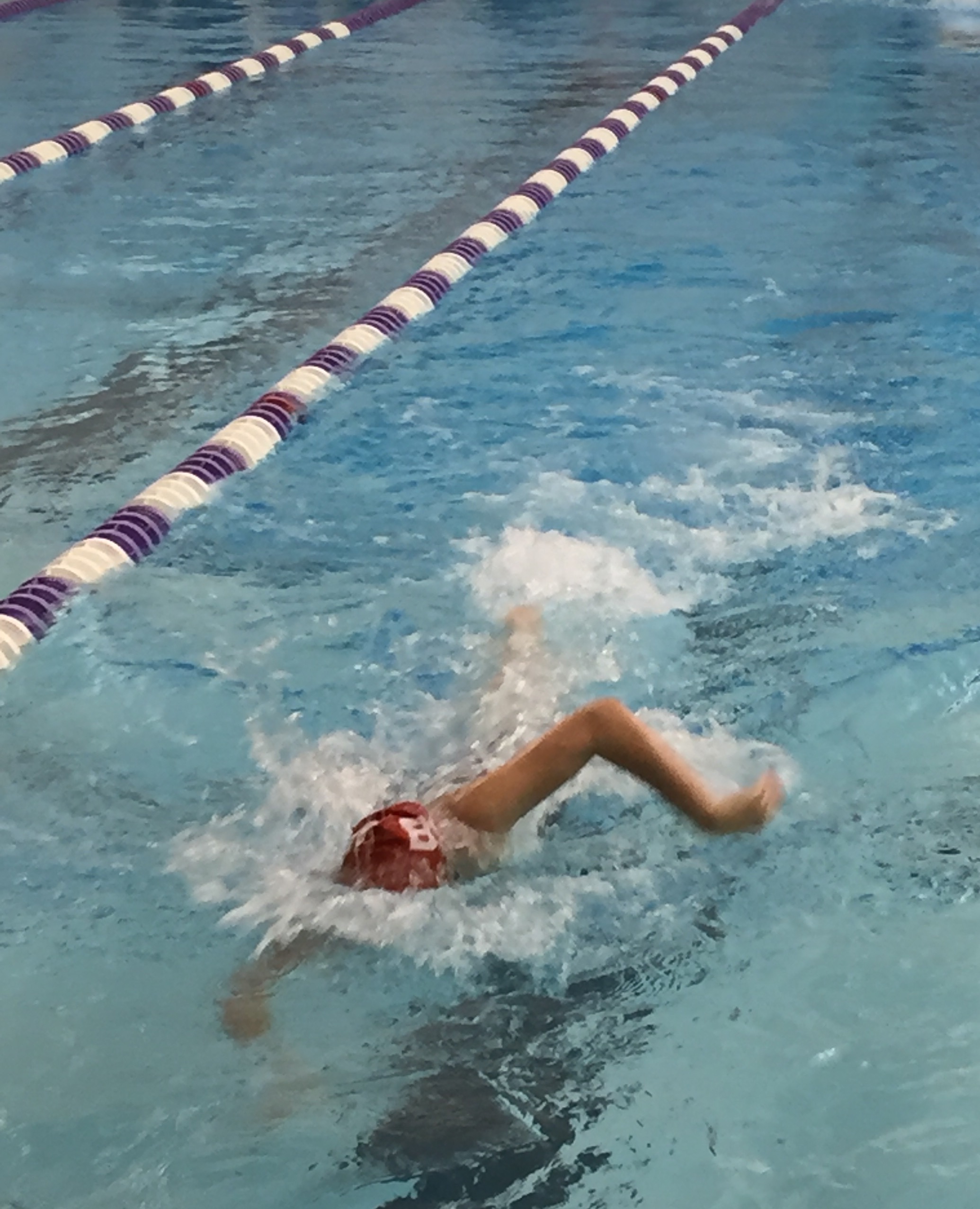 Girls’ swim places 4th at Section 2A Meet, sends five swimmers to State ...
